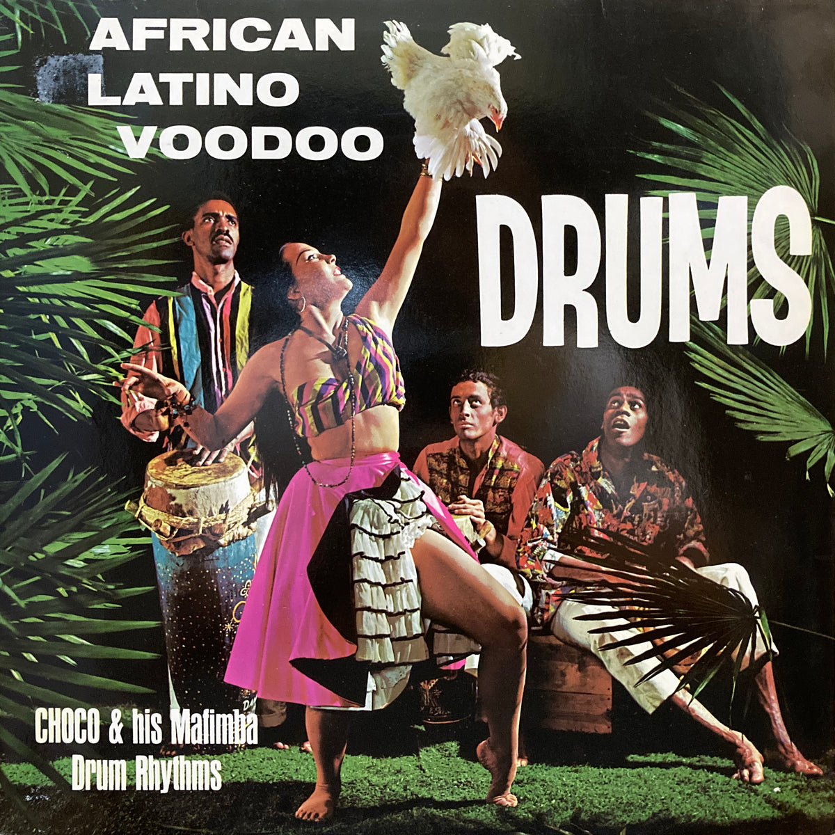 Choco & His Mafimba Drum Rhythms “African Latino Voodoo Drums” – PHYSICAL STORE