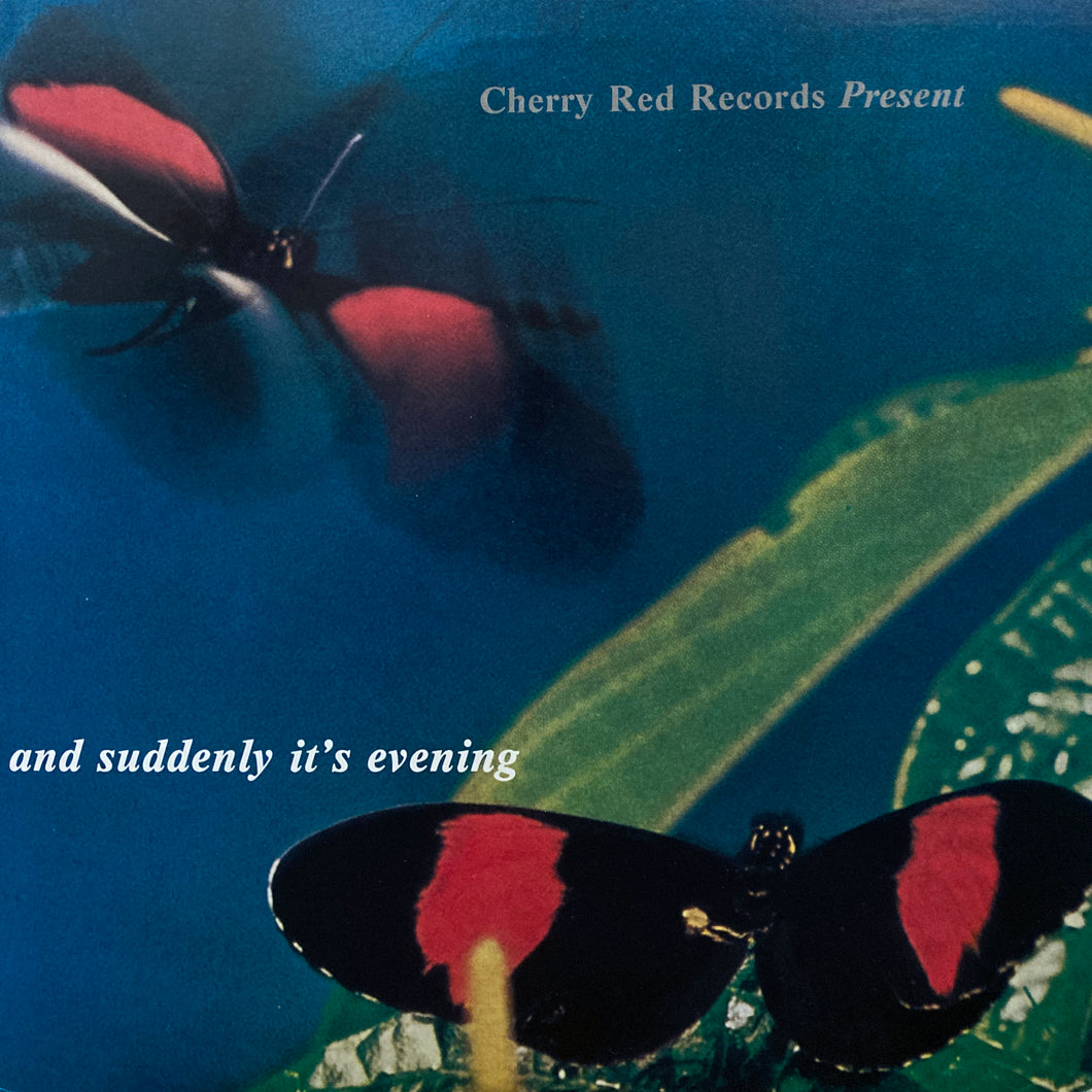 V.A. “And Suddenly It’s Evening” – PHYSICAL STORE